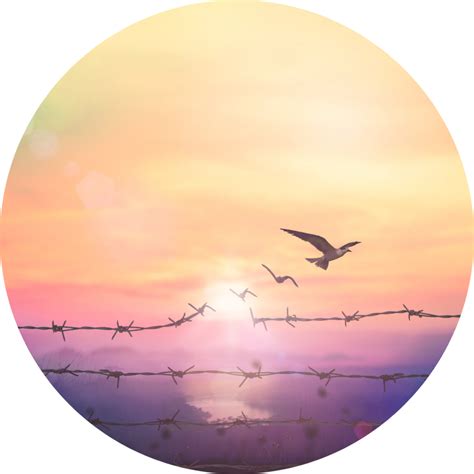 Linux For Beginners Linux Ort