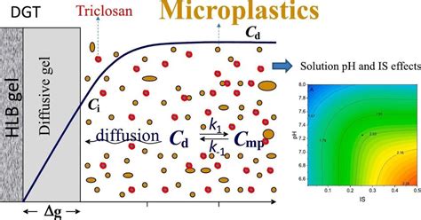 Pdf Insights Into The Release Of Triclosan From Microplastics In