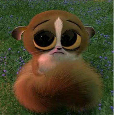 Cute Sad Face Meme