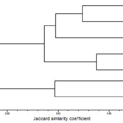 Dendrogram Of Genetic Similarity Estimated By Jaccard Coefficient By