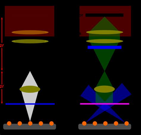 Optical Layout Design Of The Minimicroscopic Platform In Both Bf And Download Scientific