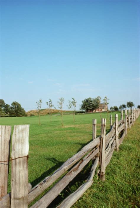 Comparison Of Fir Cedar Wood For A Wood Fence Hunker