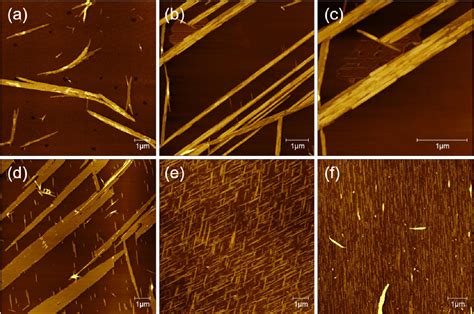 Figure 3 From Tailoring Peptide Self Assembly And Formation Of 2d Nanoribbons On Mica And Hopg