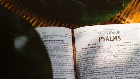 How Many Different Gods Are Mentioned In The Bible The Holy Script