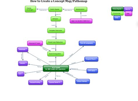 Solved Please Draw Out Cocept Map For This Scenario Do Not