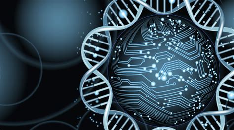 Resources On Science Creation And Evolution Genesis And The Bible