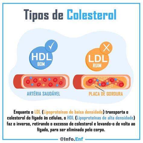 Tipos De Colesterol Cuidados De Enfermagem Curso Tecnico De