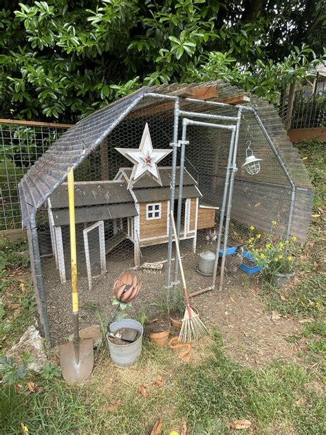 Chicken Math Rbackyardchickens