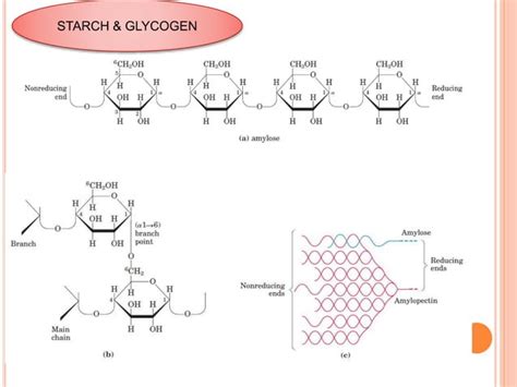 Chemistry And Structure Of Polysaccharide Ppt