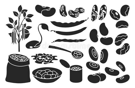 Pinto Bean Cartoon Clipart