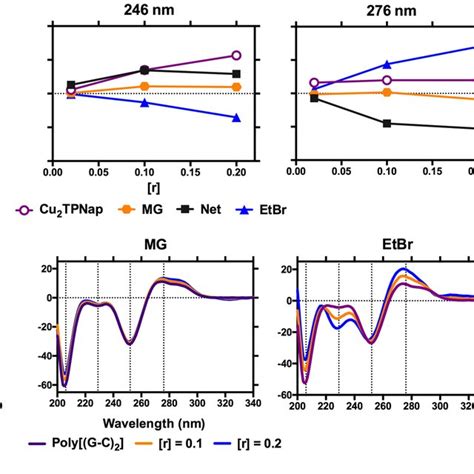 Pdf A Phosphate Targeted Dinuclear Cuii Complex Combining Major Groove Binding And Oxidative