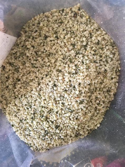 Sementes De Cânhamo Bio 1 Kg Compra Já Koro