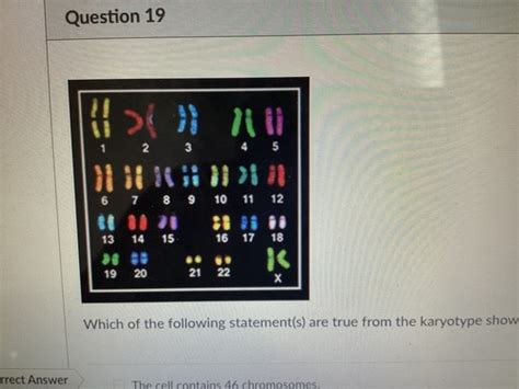 Bio Final Exam 3 Flashcards Quizlet