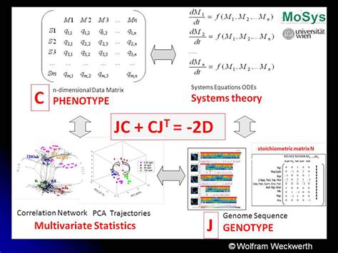 Unpredictability Of Metabolism A Genotype Phenotype Equation