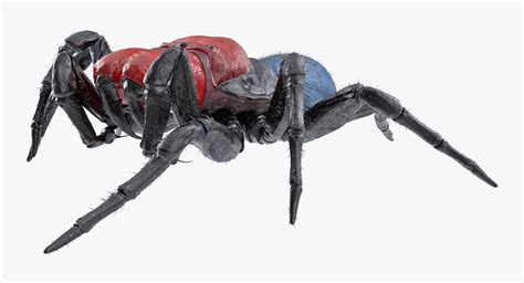 3d Mouse Spider Rigged With Fur Model 3d Molier International