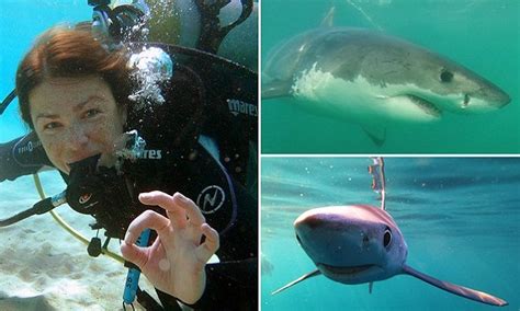Shark Experts Top Tips For Avoiding Becoming Fish Food Daily Mail Online