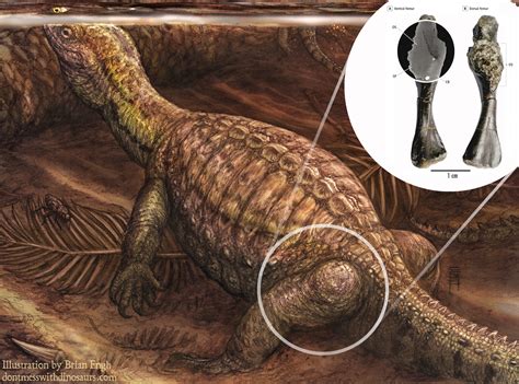 Bone Cancer In A Triassic Stem Turtle Sauropod Vertebra Picture Of The Week