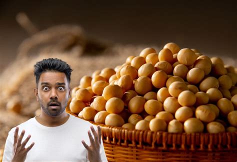 Does Soy Lower Testosterone Science Backed Answer Vinatura Supplements