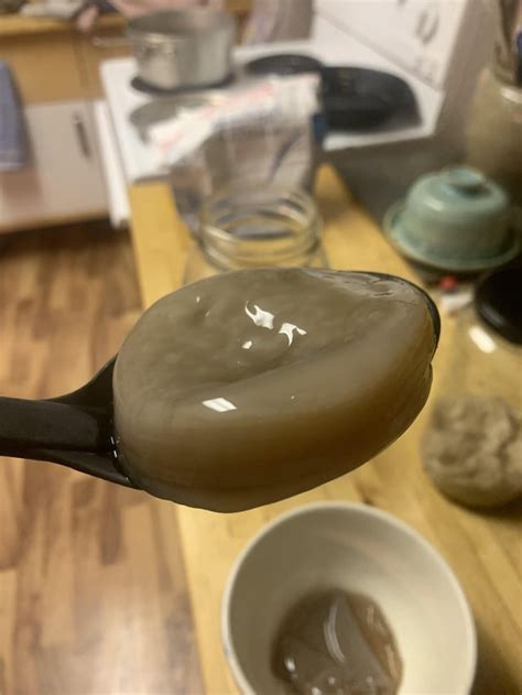 Help Abandoned My Scoby And Now The Pellicle Is Grey Rkombucha
