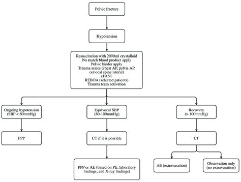 Treatment Algorithm For Patients With Hemodynamically Unstable Pelvic Download Scientific