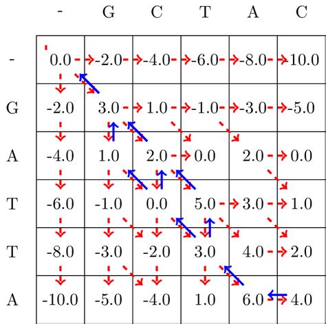 3 Needleman Wunsch Algorithm Global Alignment — Bioinformatics For