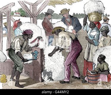 Slaves Working With A 19th Century Cotton Gin On A Plantation In A
