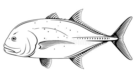 Illustration De Poissons Trévaliers Géants En Noir Et Blanc Illustration De Vecteur