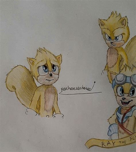 Ray The Flying Squirrel In Sonic Movie Hedgehog Movie Flying Squirrel Sonic