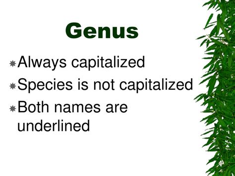 Ppt How Plants Are Named Powerpoint Presentation Free Download Id