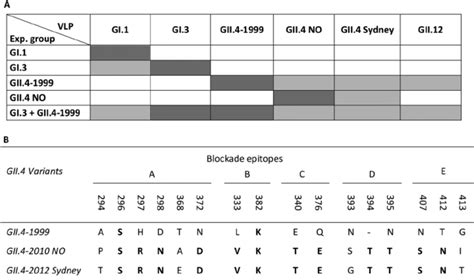 Serum Blocking Activity And Blockade Epitopes A Schematic