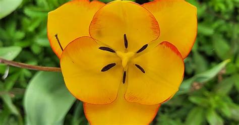 True Story Album On Imgur True Story Album On Imgur