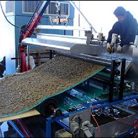 Block Diagram Of The Bagasse Mat Production Process Download