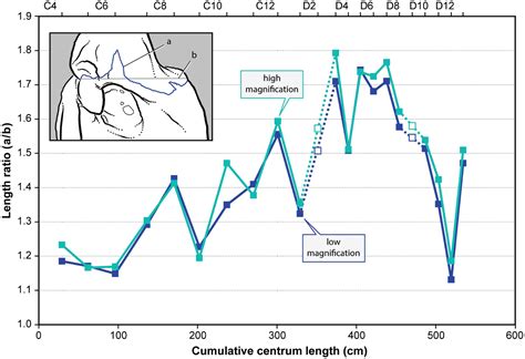 Neurocentral Suture Complexity And Stress Distribution In The Vertebral Column Of A Sauropod