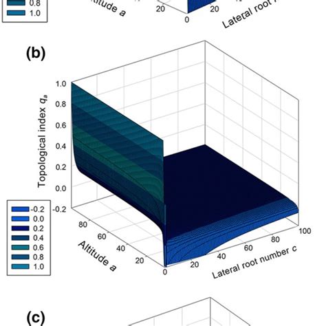 Modeling Formulation Of The Relationships Among The Root Topological