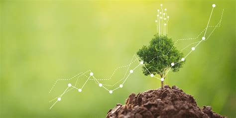 Top Five Ways You Can Grow Your Beta Program Centercode