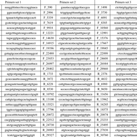 Primers For Pcr Amplification Of The Sars Cov 2 Genome Download