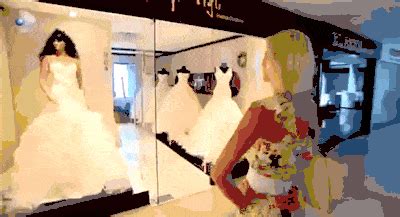 Humor Funny Gif Wifflegif