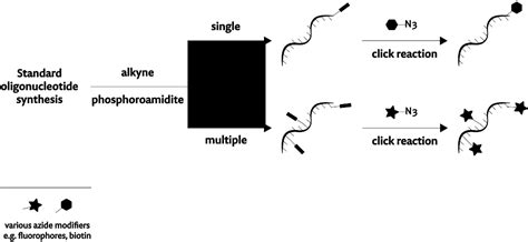 Click Chemistry