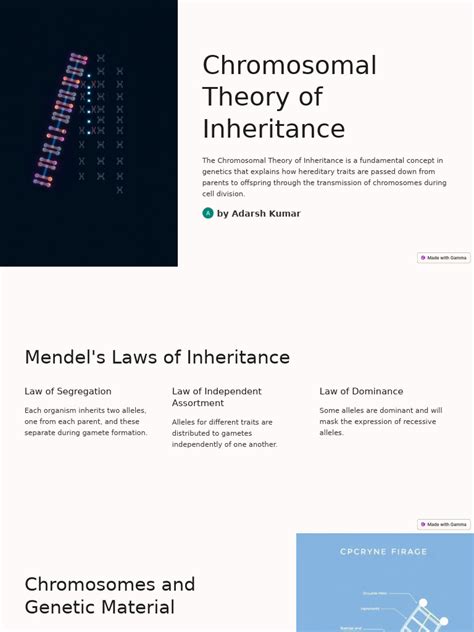 Chromosomal Theory Of Inheritance Pdf Genetics Chromosome