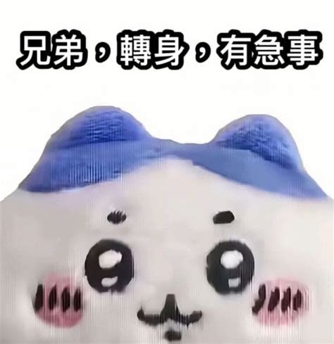 Pin De Sake Shen En 幽默 En 2024 Hilarante