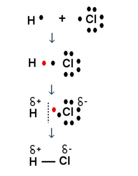 Polar Covalent Bond Hcl