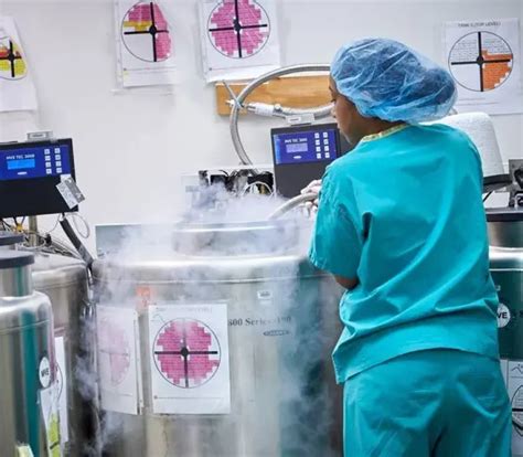 Best Ivf Center In Hyderabad Eraya Fertility Best Ivf Center In Hyderabad Eraya Fertility