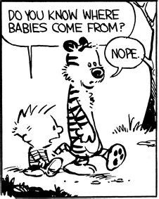 1000 Images About Calvin And Hobbs On Pinterest Calvin And Hobbes