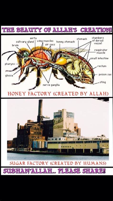 Fatima Karim On Artofit