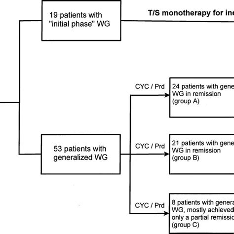 Selection Of Patients N72 In Various Stages Of Wegeners