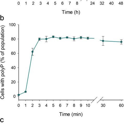 Dynamics Of Polyphosphate Accumulation And Phosphate Consumption After