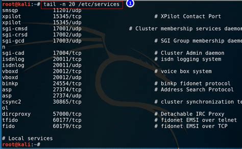 Kali Linux基础命令：head和tail命令学习 知乎