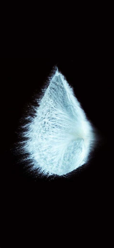 Tear Drops Wallpaper