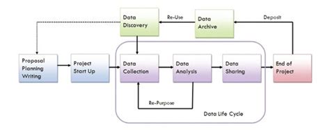 Data Life Cycle Department Of Psychology Data Life Cycle Department Of Psychology