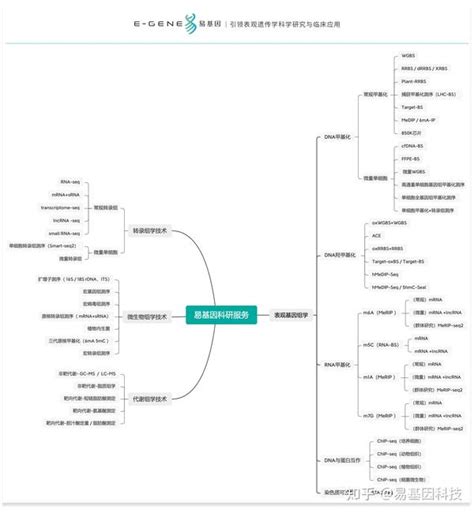 易基因多组学关联分析及组学分子实验验证方法表观组 转录组 微生物组干货系列 知乎